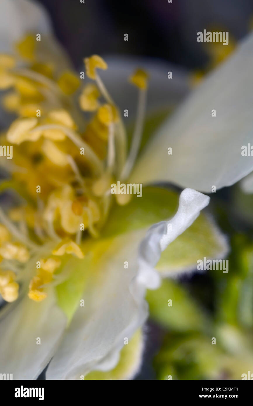 Michael bloom hi-res stock photography and images - Alamy