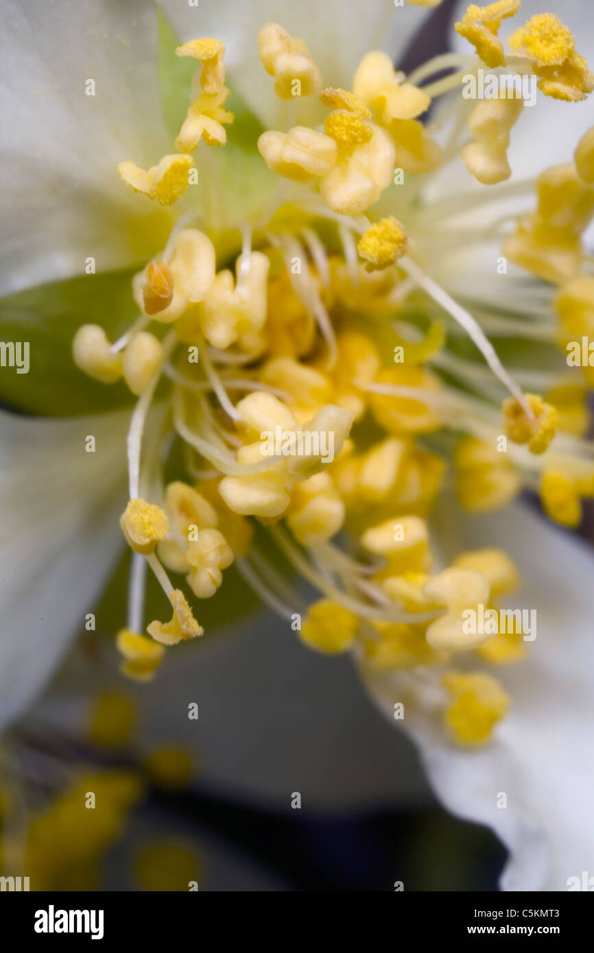 Michael bloom hi-res stock photography and images - Alamy