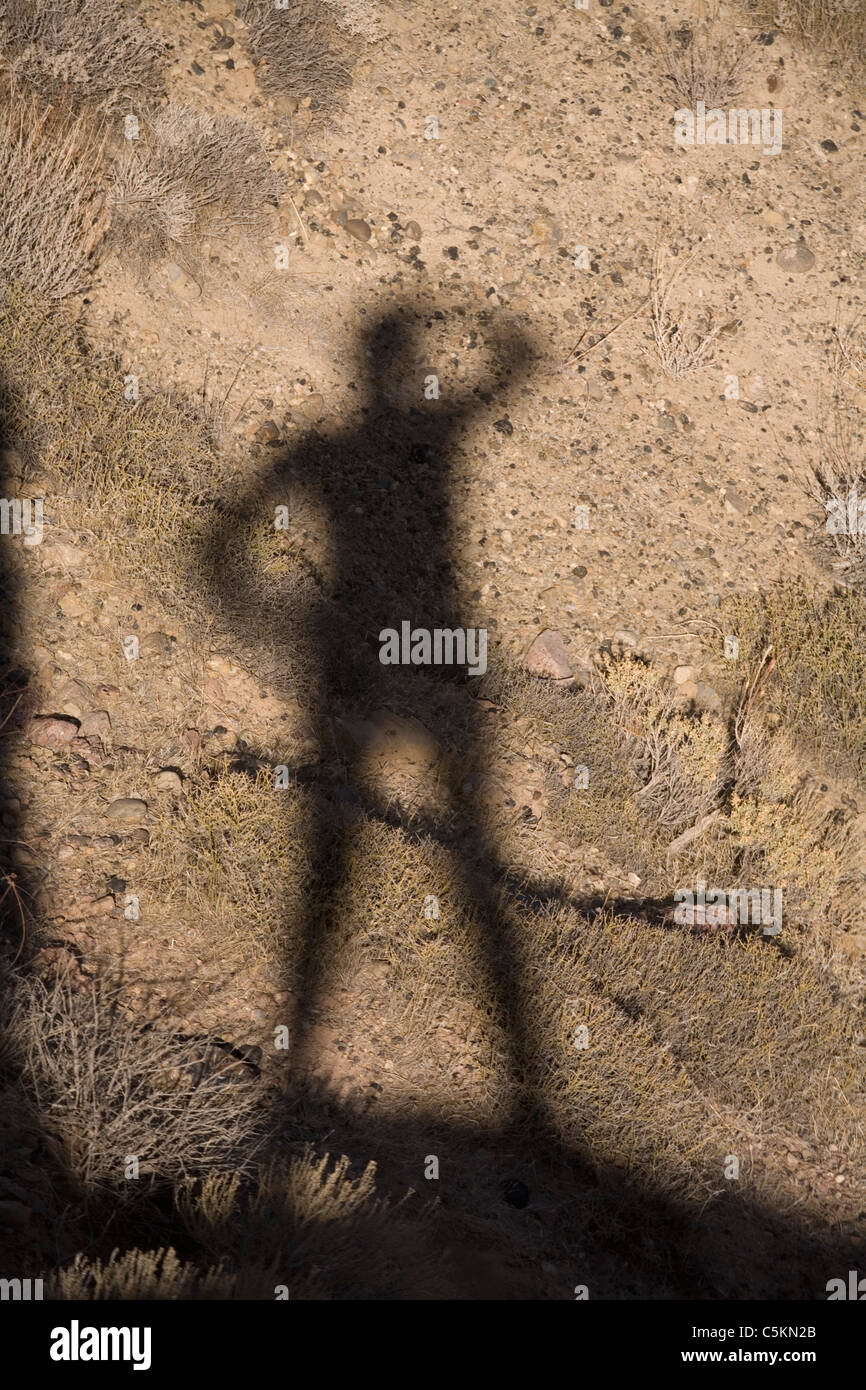 Portrait of death hi-res stock photography and images - Alamy