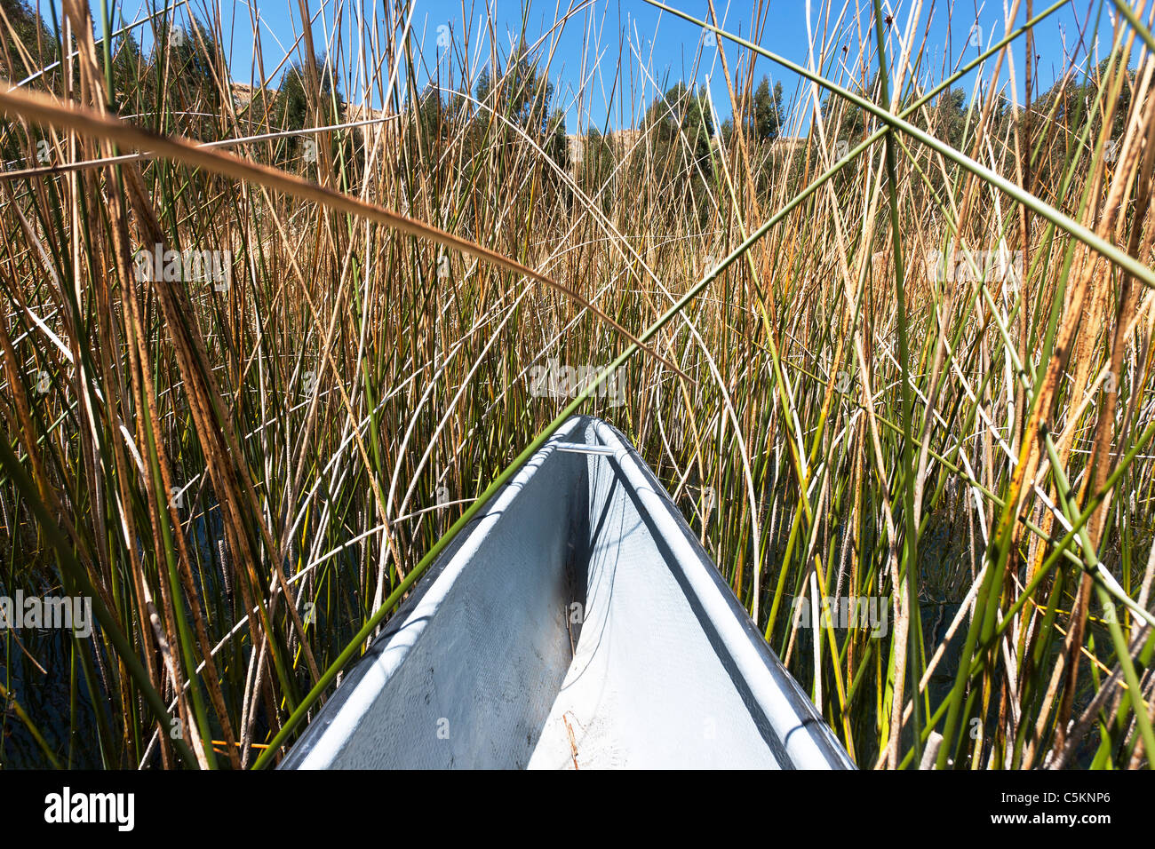 A man paddles a Canadian canoe on Lake Titicaca from Suasi, the only ...