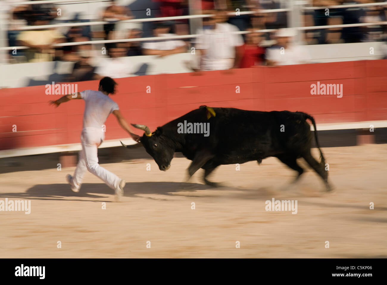 A man running from a charging bull while touching its head, with motion ...