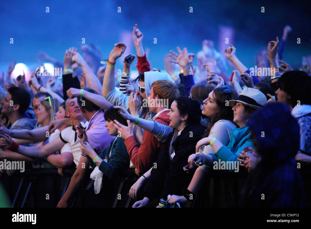 Music fans at music festival Stock Photo - Alamy