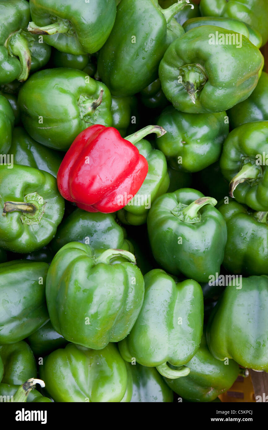 Nick pepper hi-res stock photography and images - Alamy