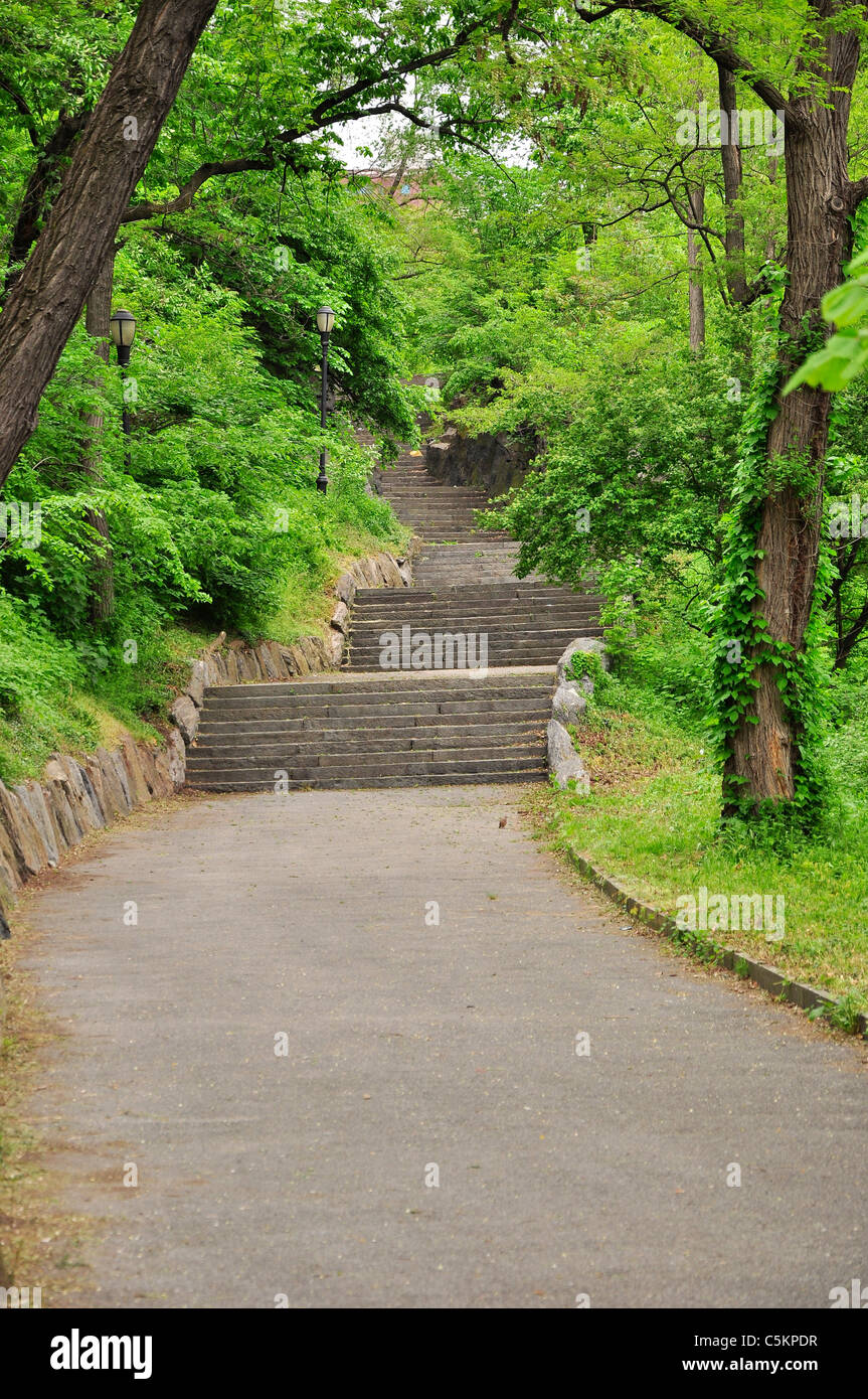 Path in central park hi-res stock photography and images - Alamy