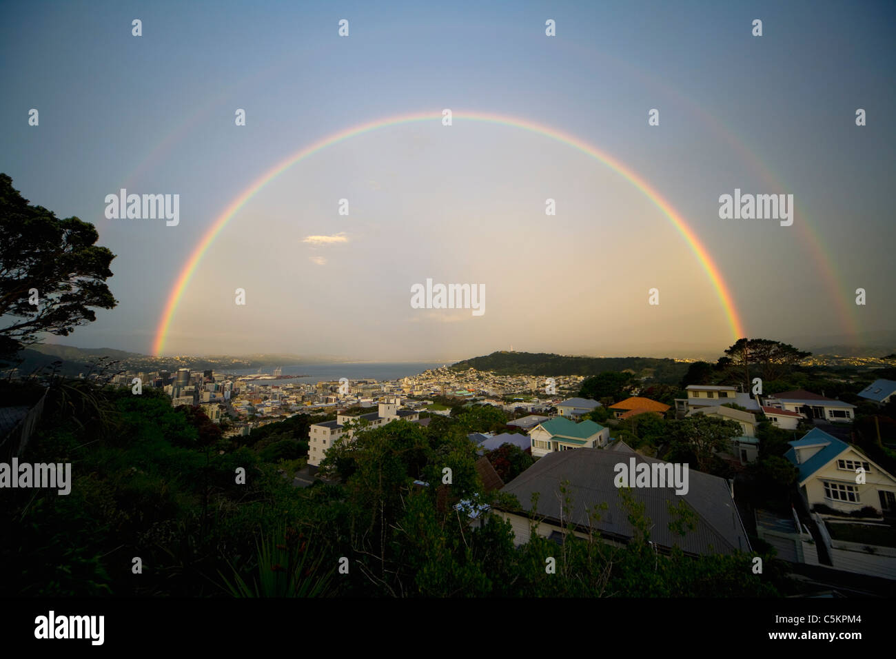 Wellington city from brooklyn hi-res stock photography and images - Alamy