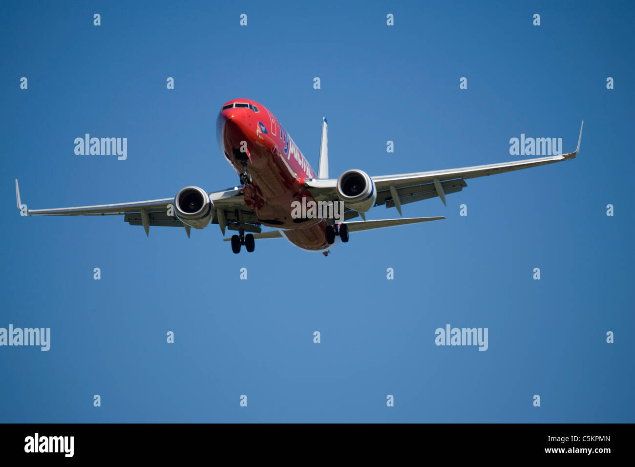 Boeing 737-800 jet airliner of Pacific Blue Airlines front view with ...