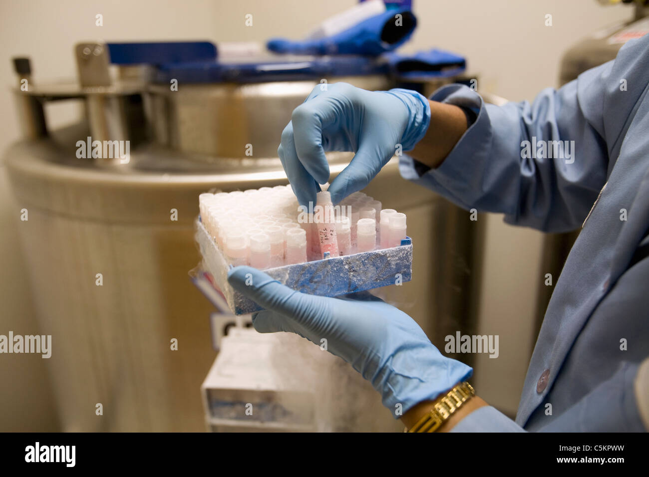 Frozen lab samples. Cancer cells frozen. Cryostasis. Nitrogen frozen ...