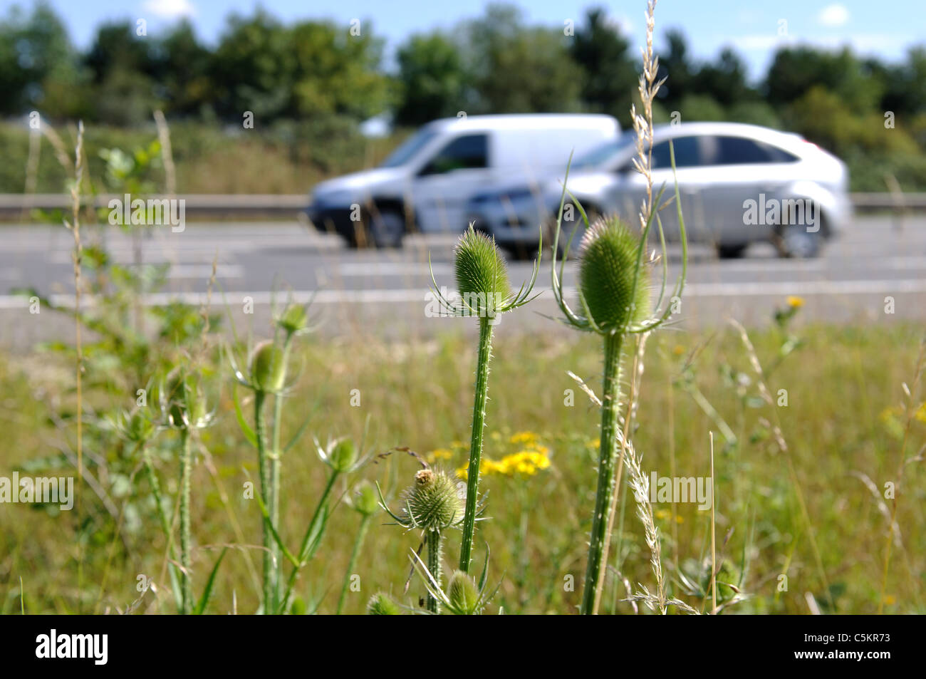 Motorway grass verge uk hi-res stock photography and images - Alamy