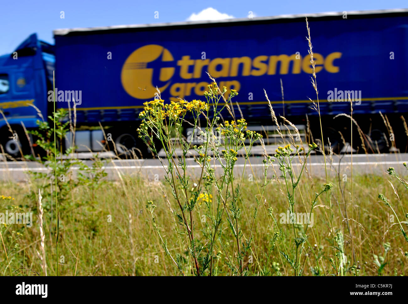 Motorway verge flowers hi-res stock photography and images - Alamy