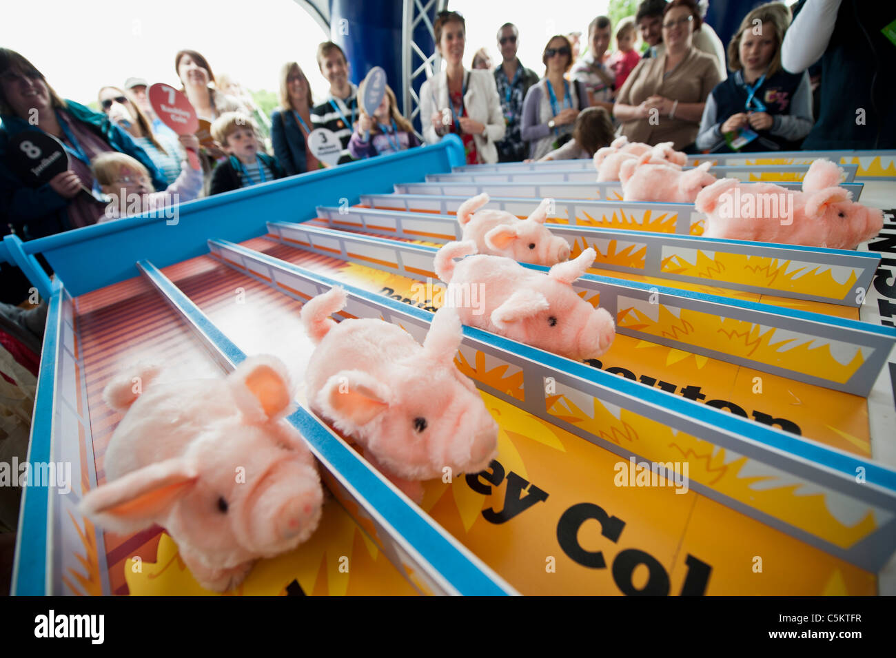 The 15000 strong crowd enjoys the RSPCA pig race, music and free ice ...