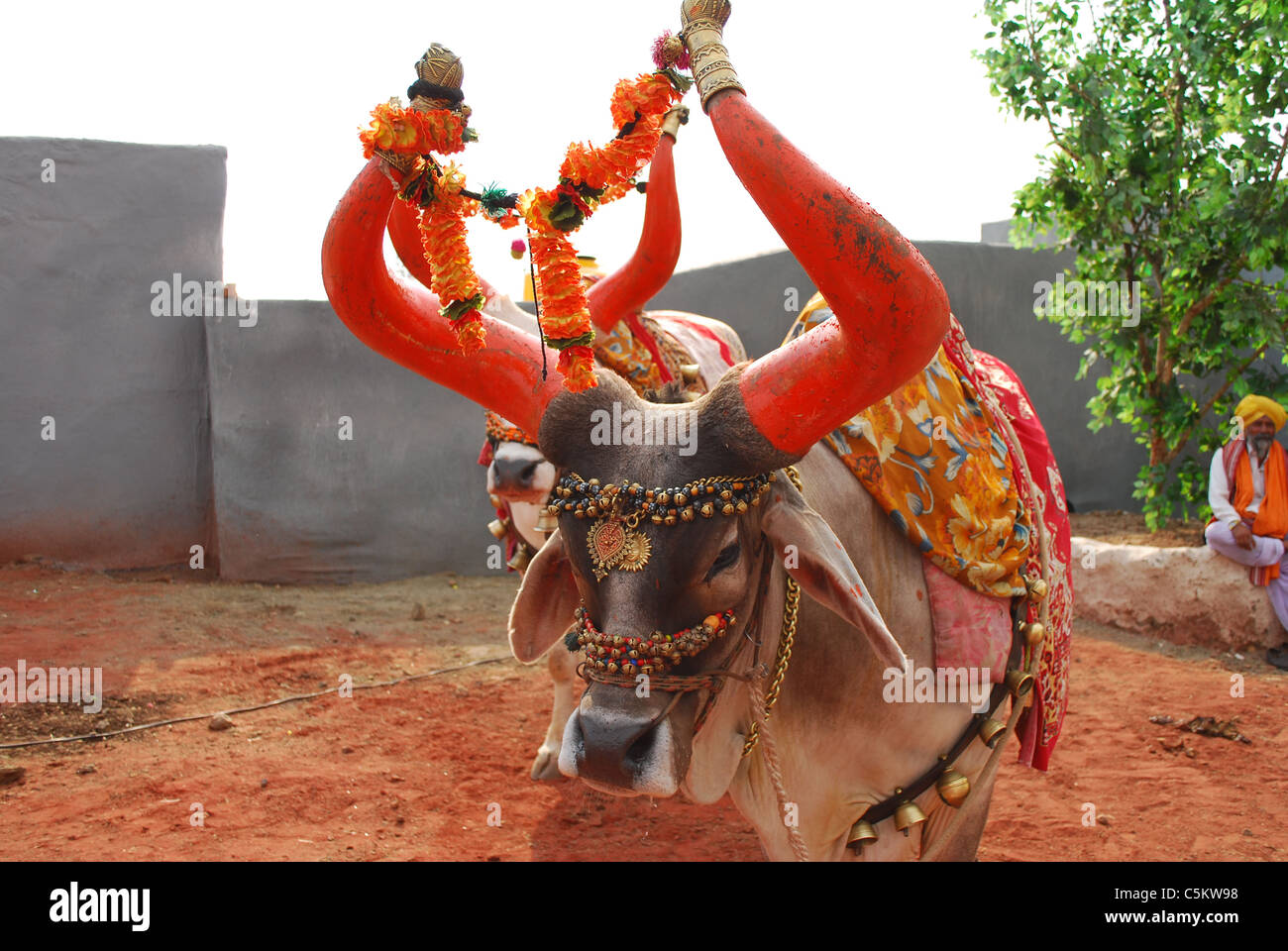 Bull worship hi-res stock photography and images - Alamy