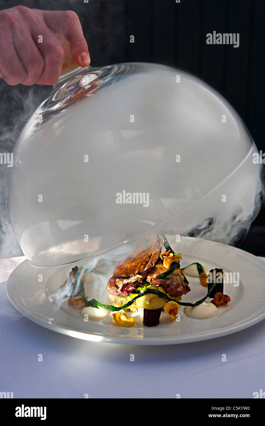 Smoked Pigeon under a smoke filled dome being lifted on presentation at ...