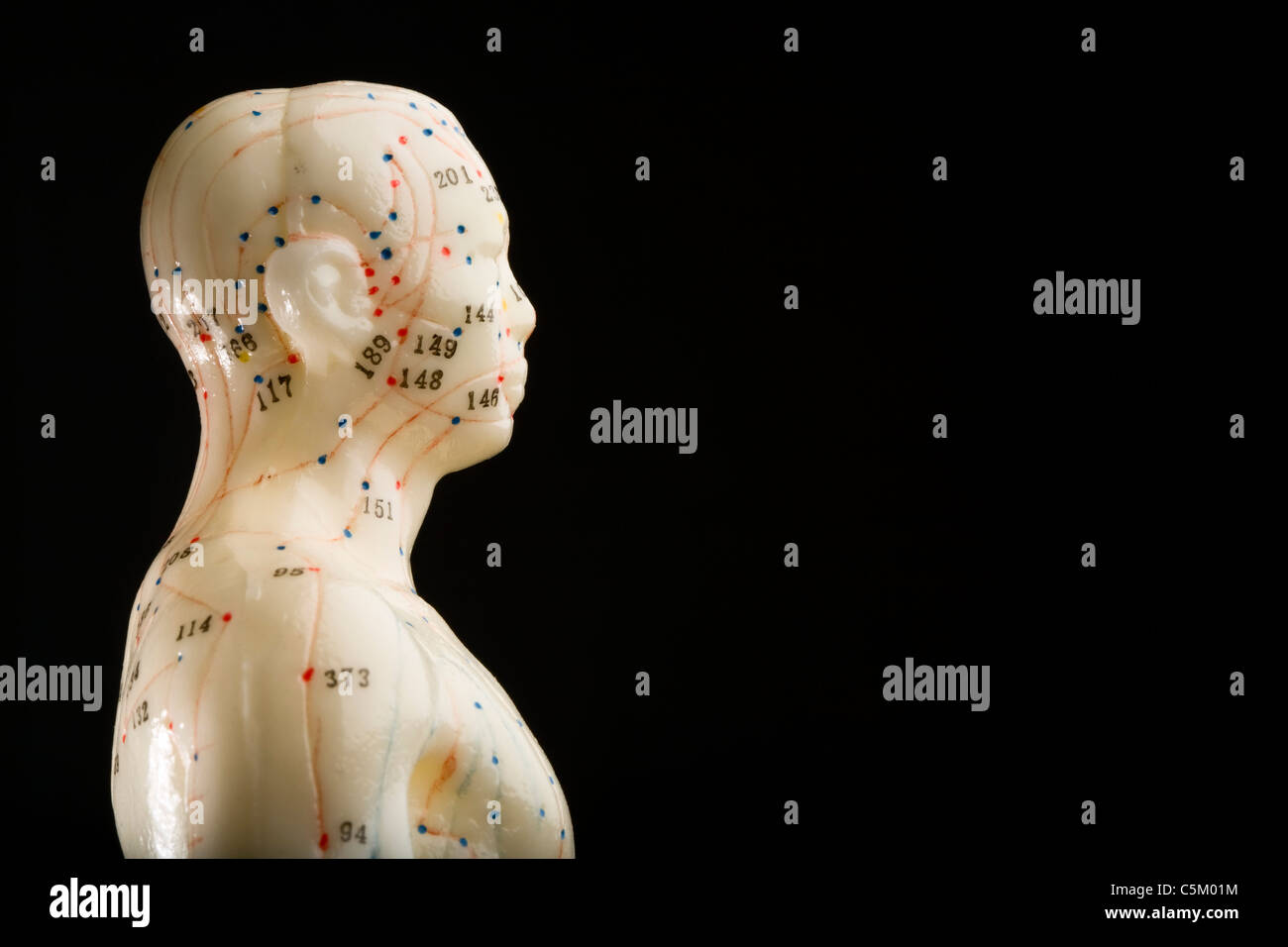 Acupuncture mannequin hi-res stock photography and images - Alamy