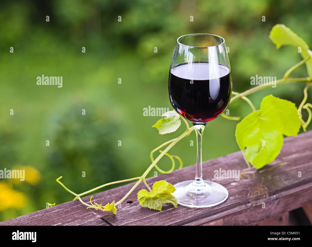 glass with red wine in vineyard Stock Photo - Alamy