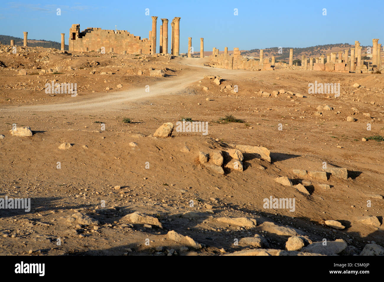 Ruins of ancient Gerasa (2nd-6th century), UNESCO World Heritage site ...