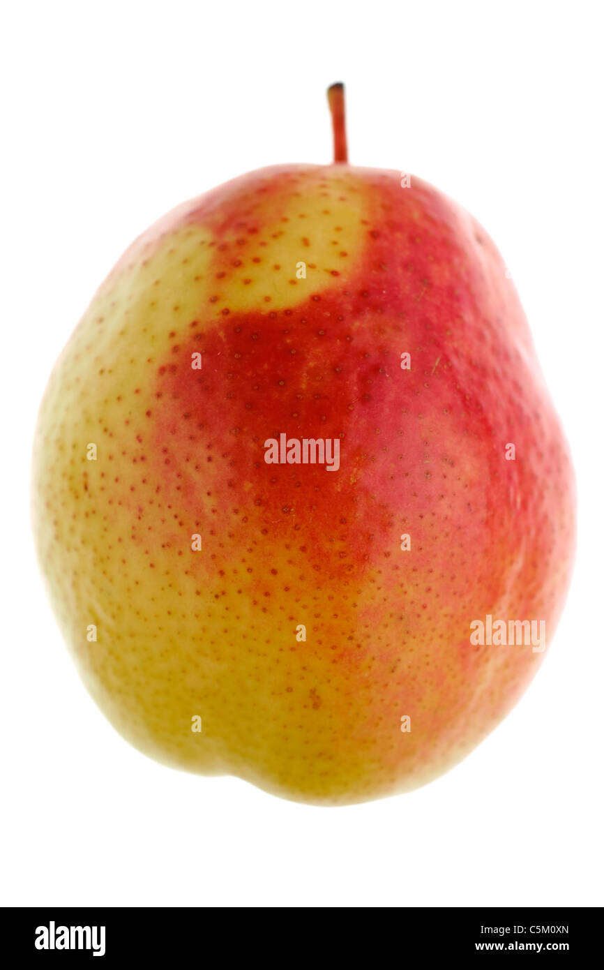 Whole blush Forelle pear Stock Photo - Alamy