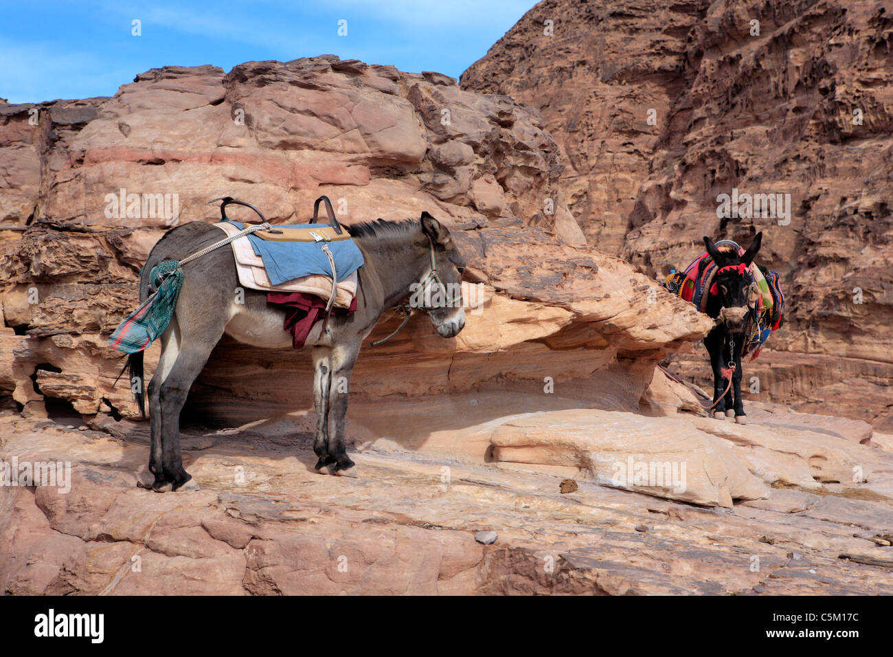 Middle east transport travel hi-res stock photography and images - Alamy