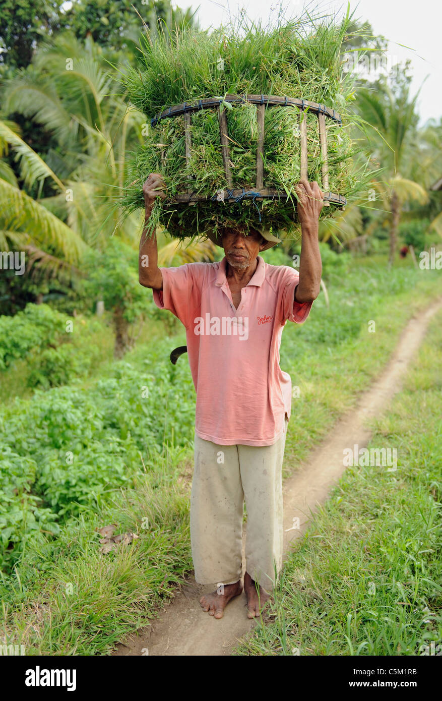 Old man carrying heavy load hi-res stock photography and images - Alamy