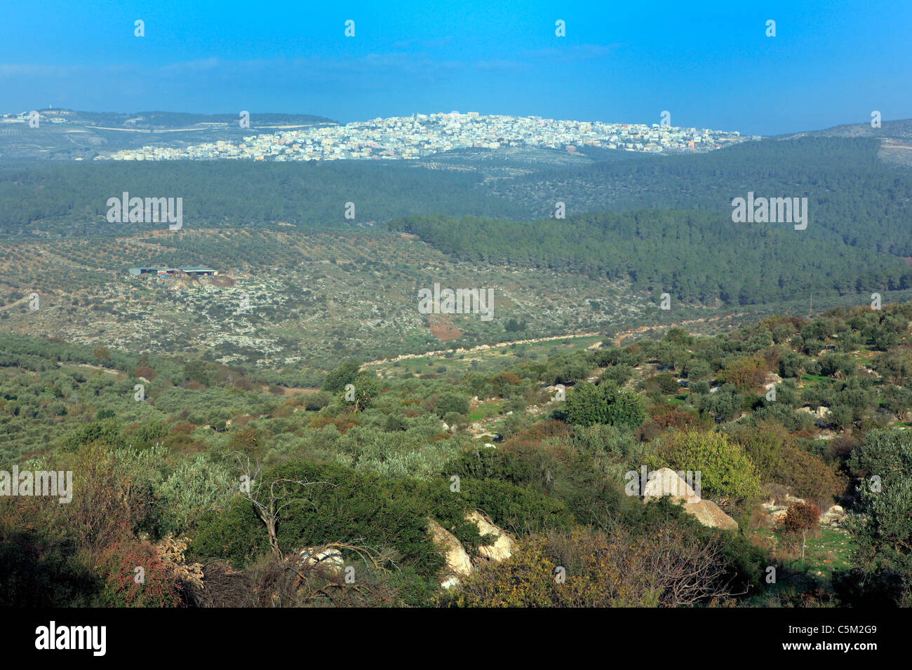 View from Mount Tabor to the city of Nazareth, Israel Stock Photo - Alamy