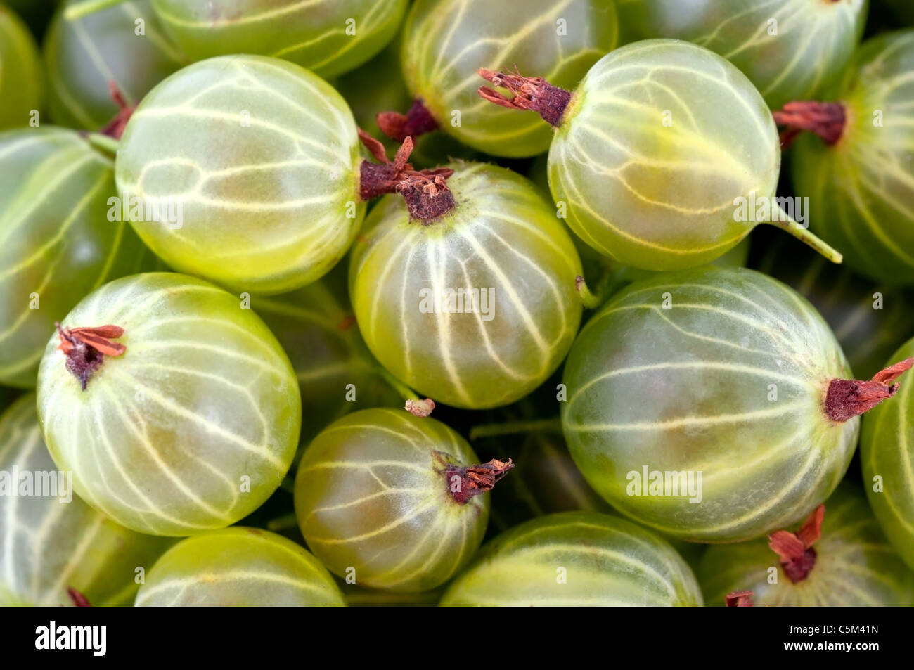 Green gooseberry background Stock Photo - Alamy