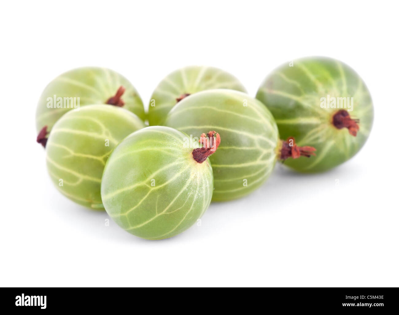 Gooseberry hi-res stock photography and images - Alamy