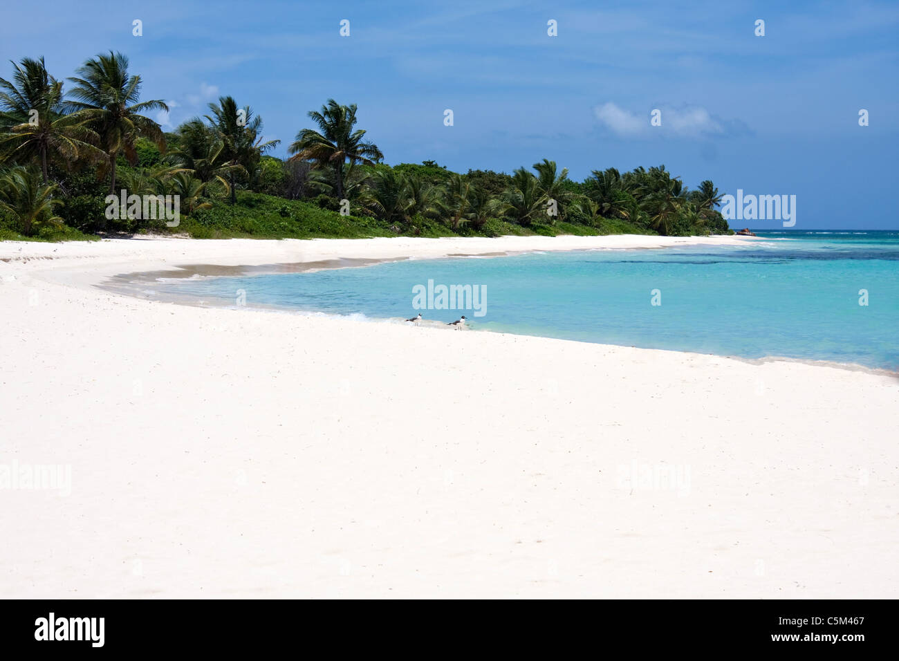 The gorgeous white sand filled Flamenco beach on the Puerto Rican ...