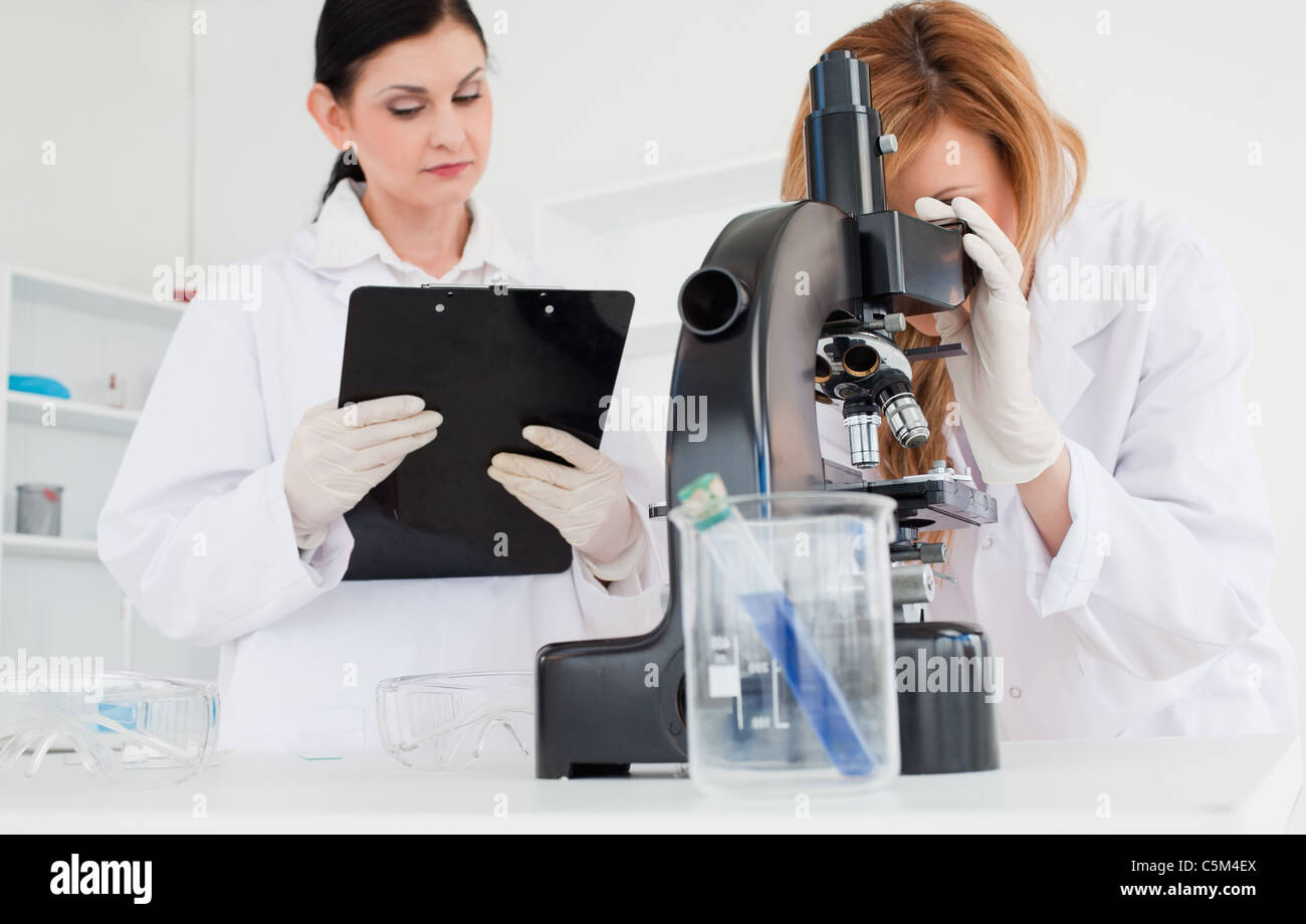 College assistant hi-res stock photography and images - Alamy