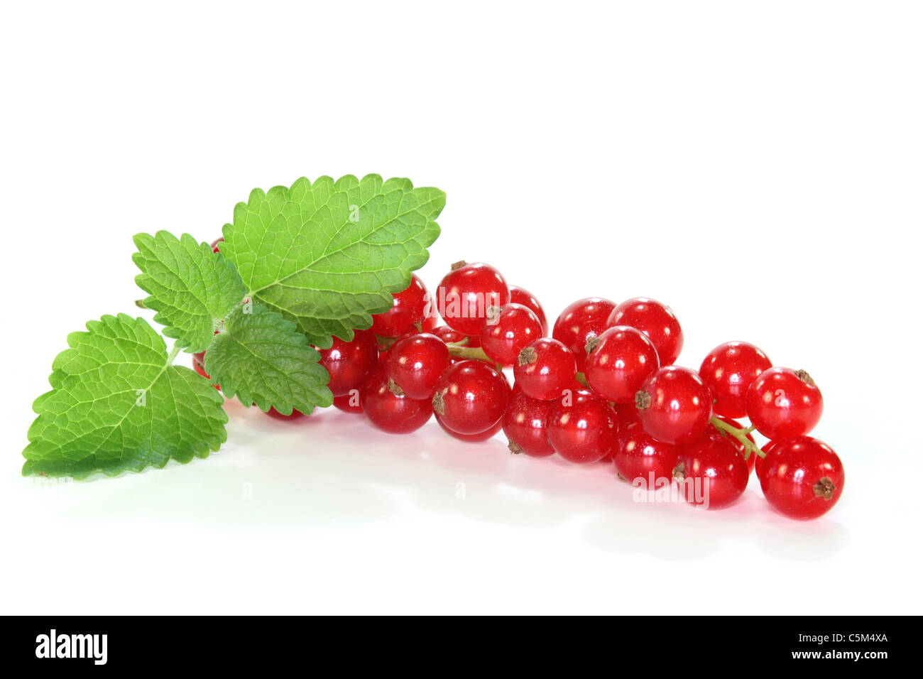 fresh red currants on a white background Stock Photo - Alamy
