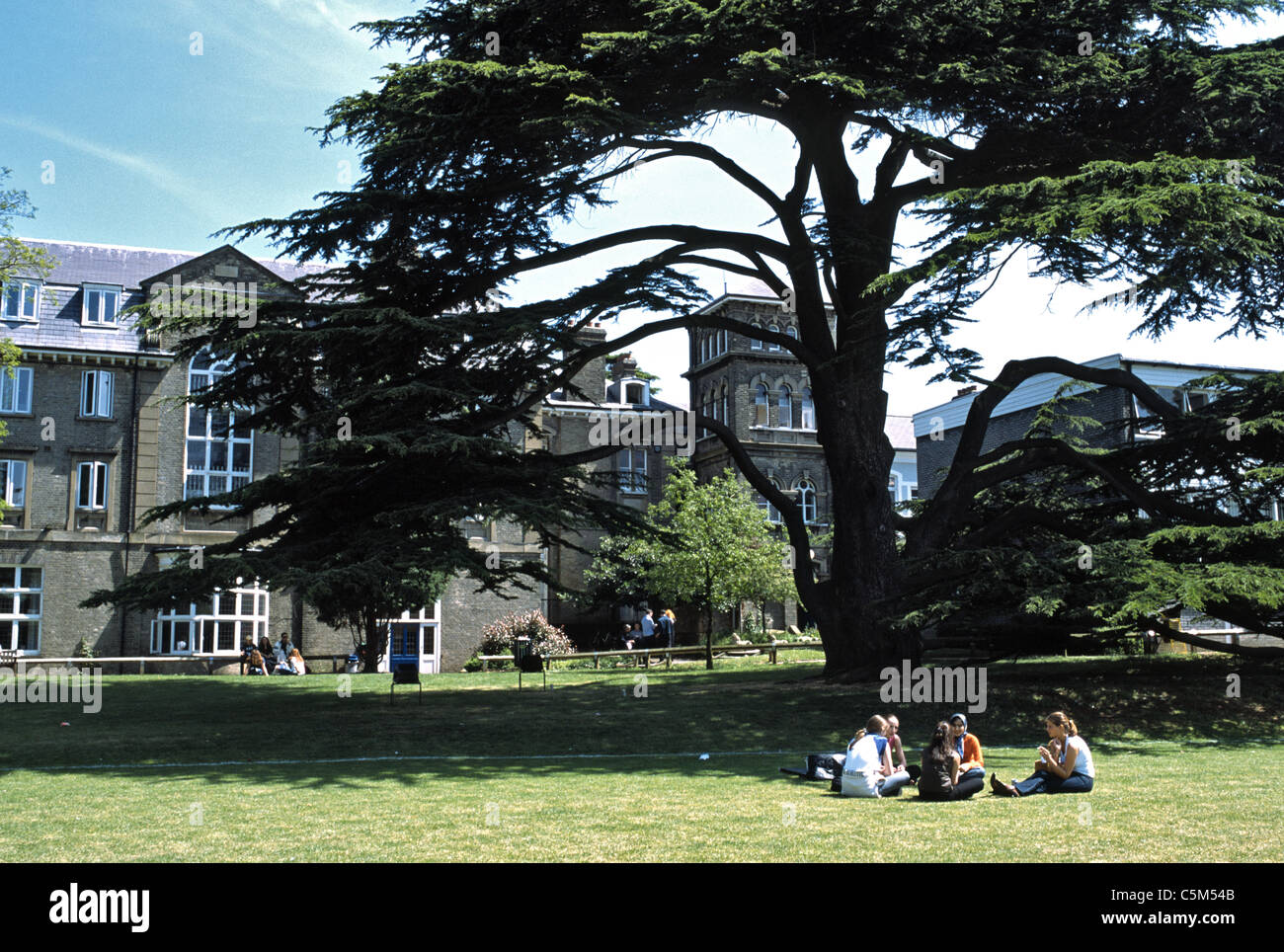 Summertime with students seated under tree in university grounds Stock ...