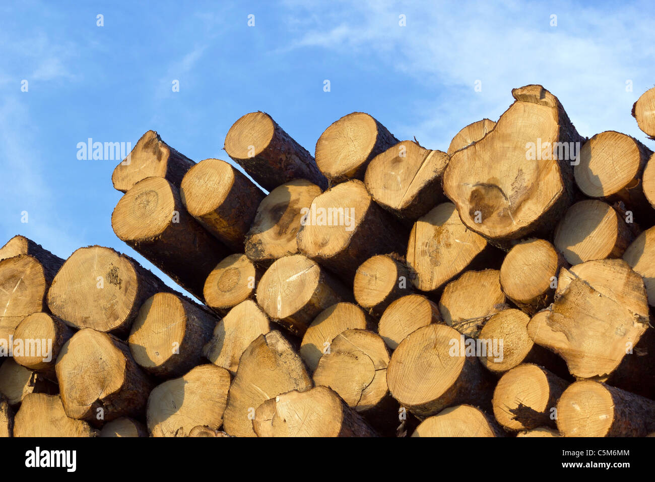 piled tree trunks Stock Photo - Alamy