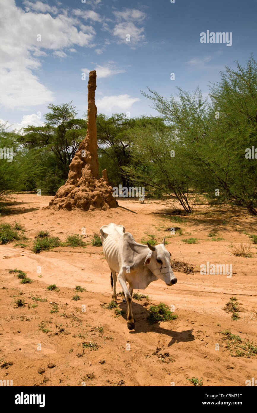 Landscape in the Lower Omo Valley, Southern Ethiopia, Africa Stock ...