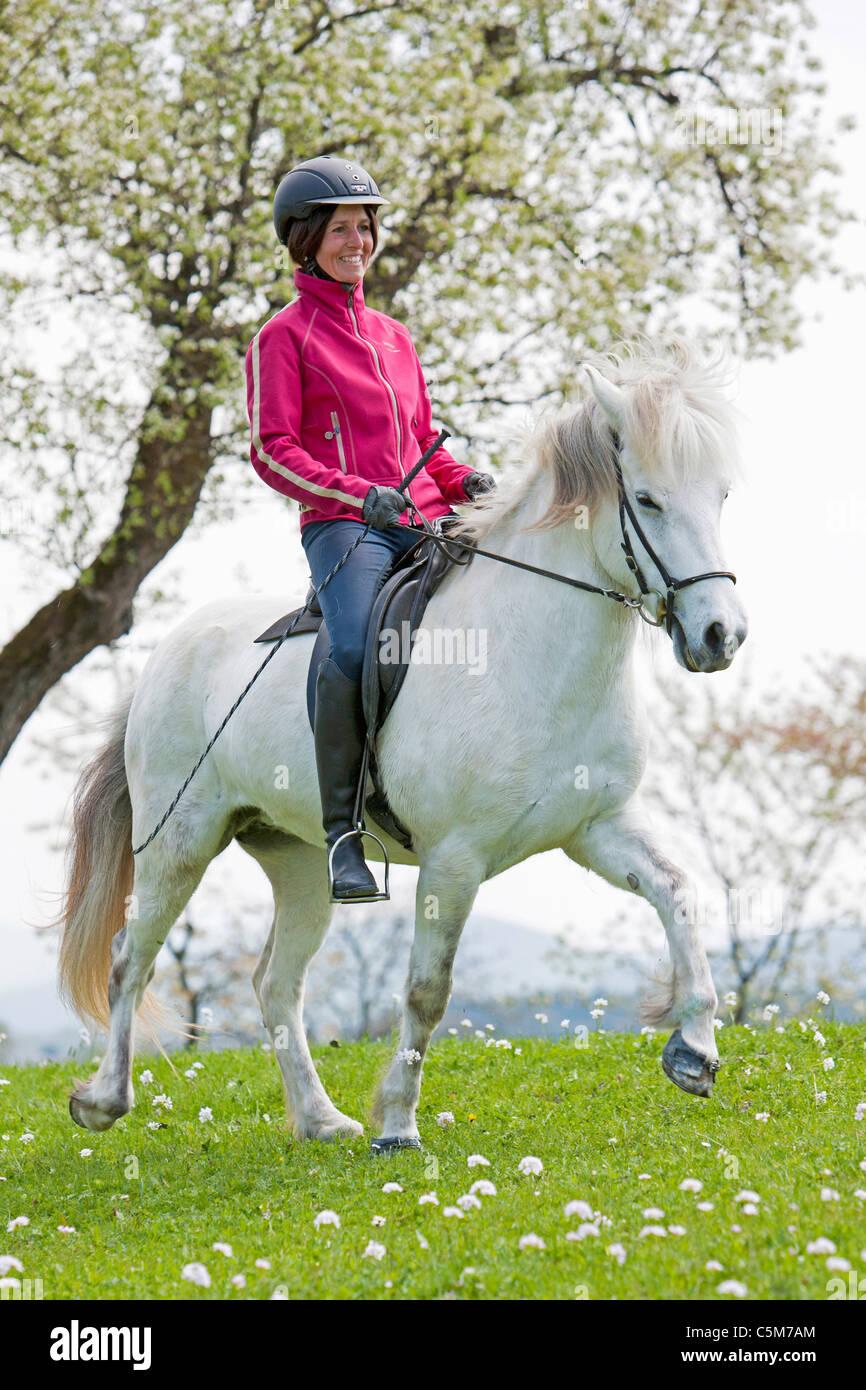 Animal female people woman ponies pony horse rider riding hi-res stock ...