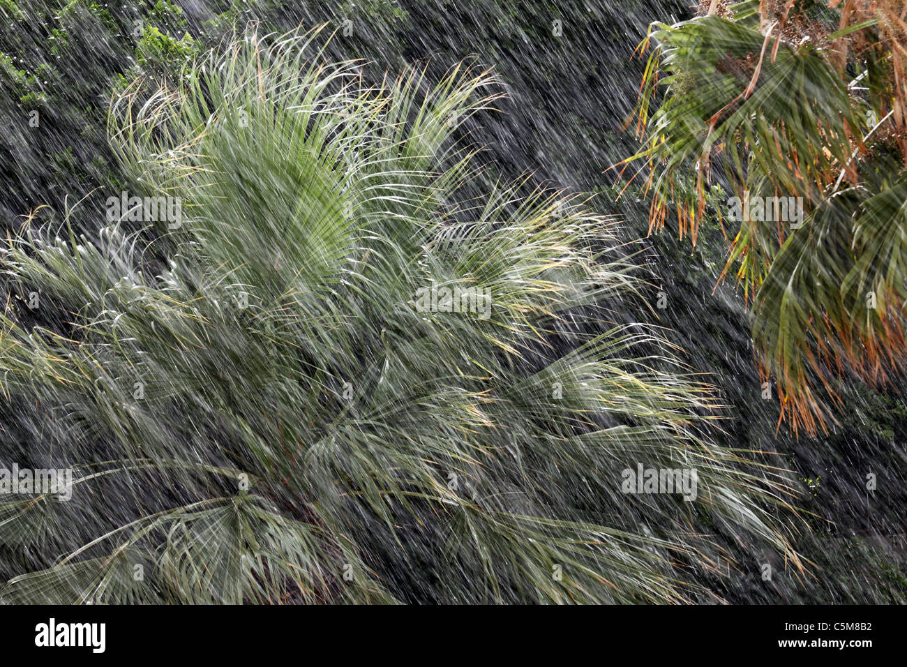 Rain in the north of Africa Stock Photo - Alamy