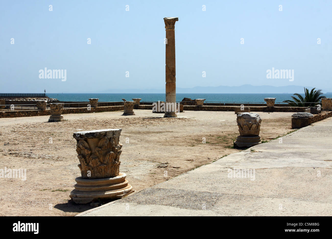 View of ancient columns in Carthage. Antonine Baths built by Romans ...