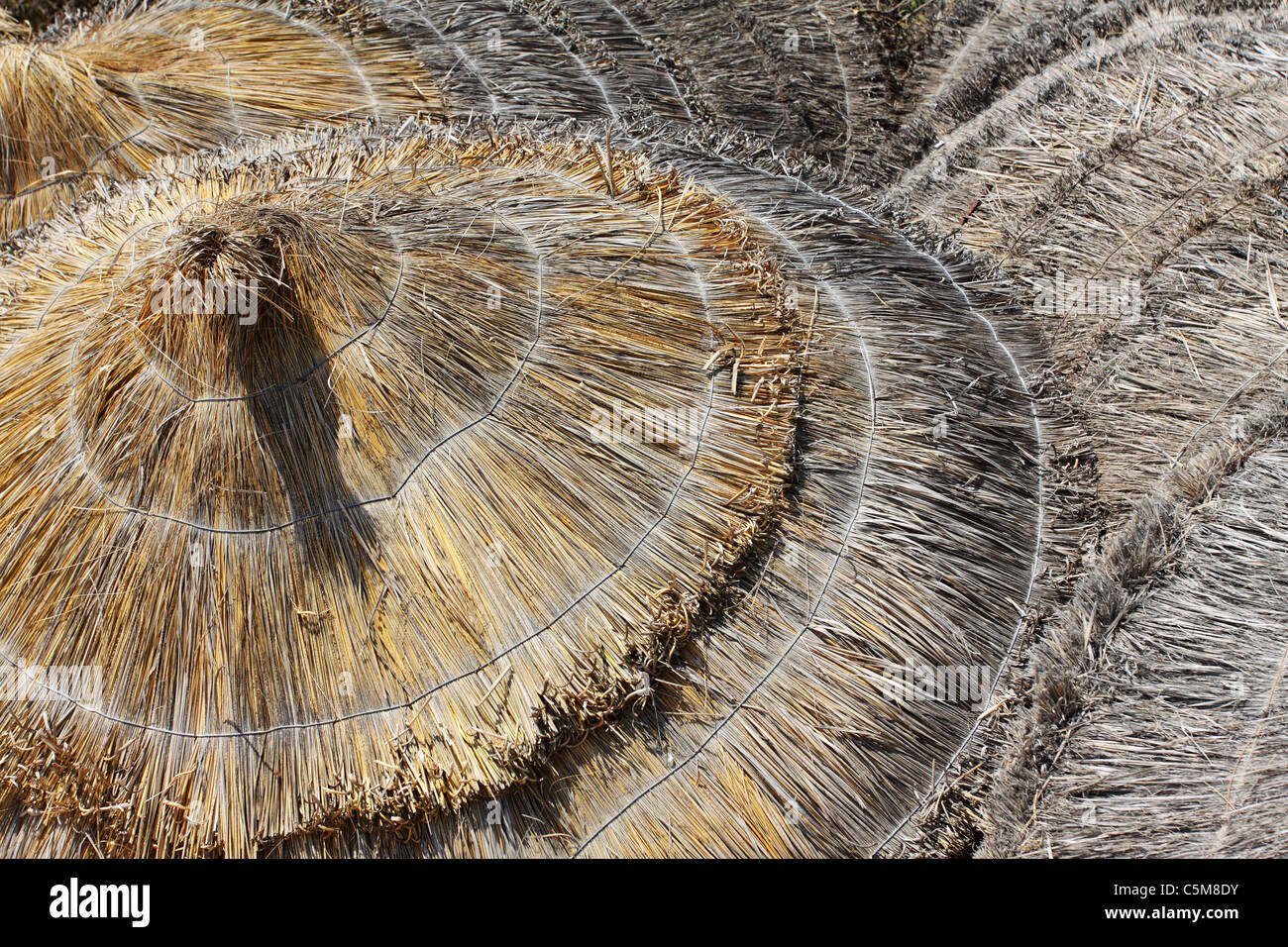 Top view on thatched parasol Stock Photo - Alamy