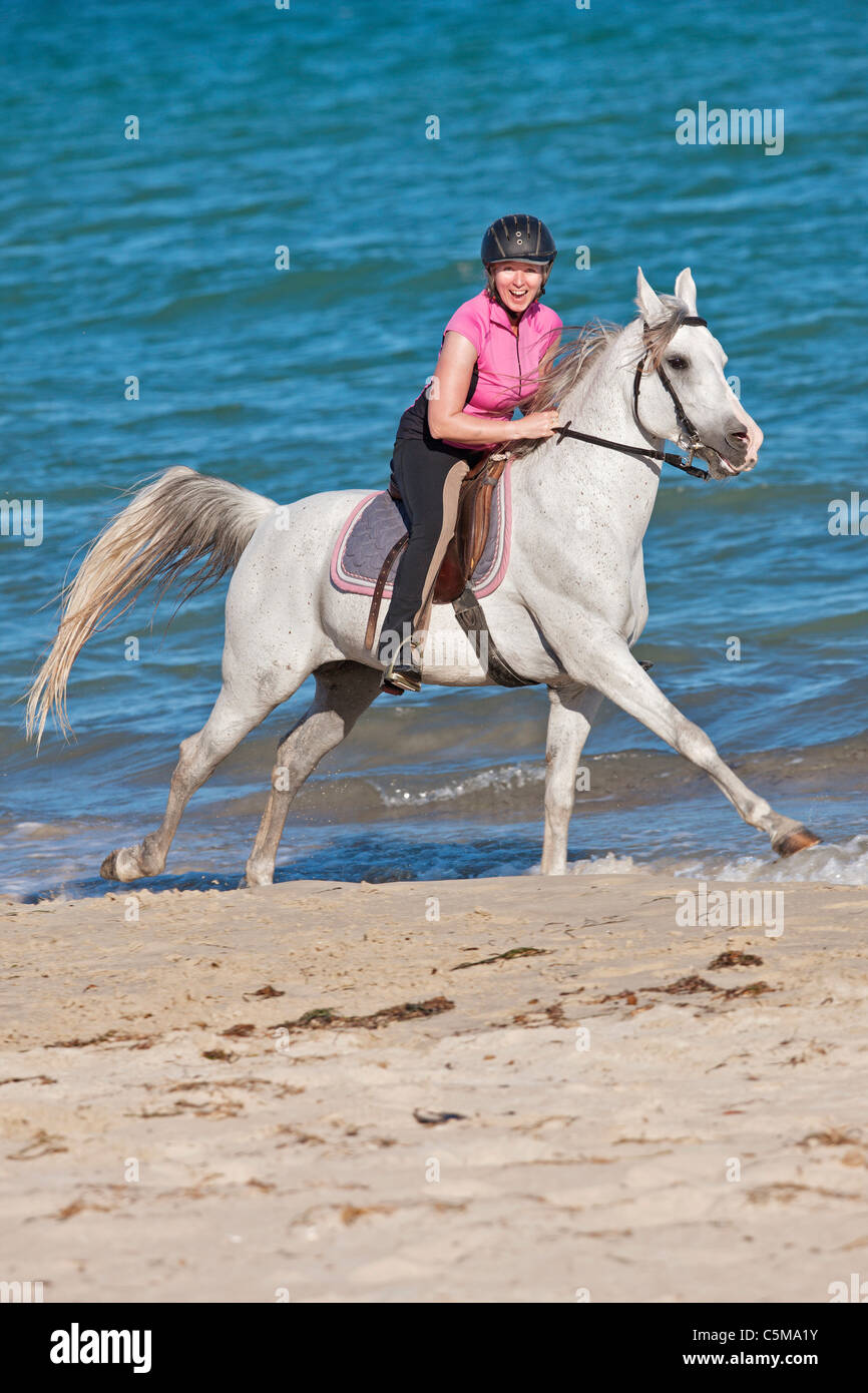 woman riding on Arabian horse Stock Photo - Alamy