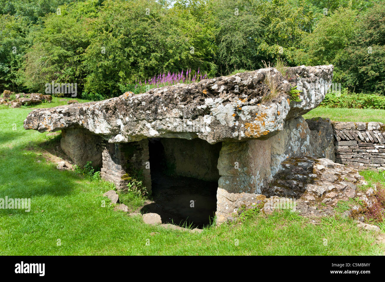 Tinkinswood megalith neolithic burial site hi-res stock photography and ...
