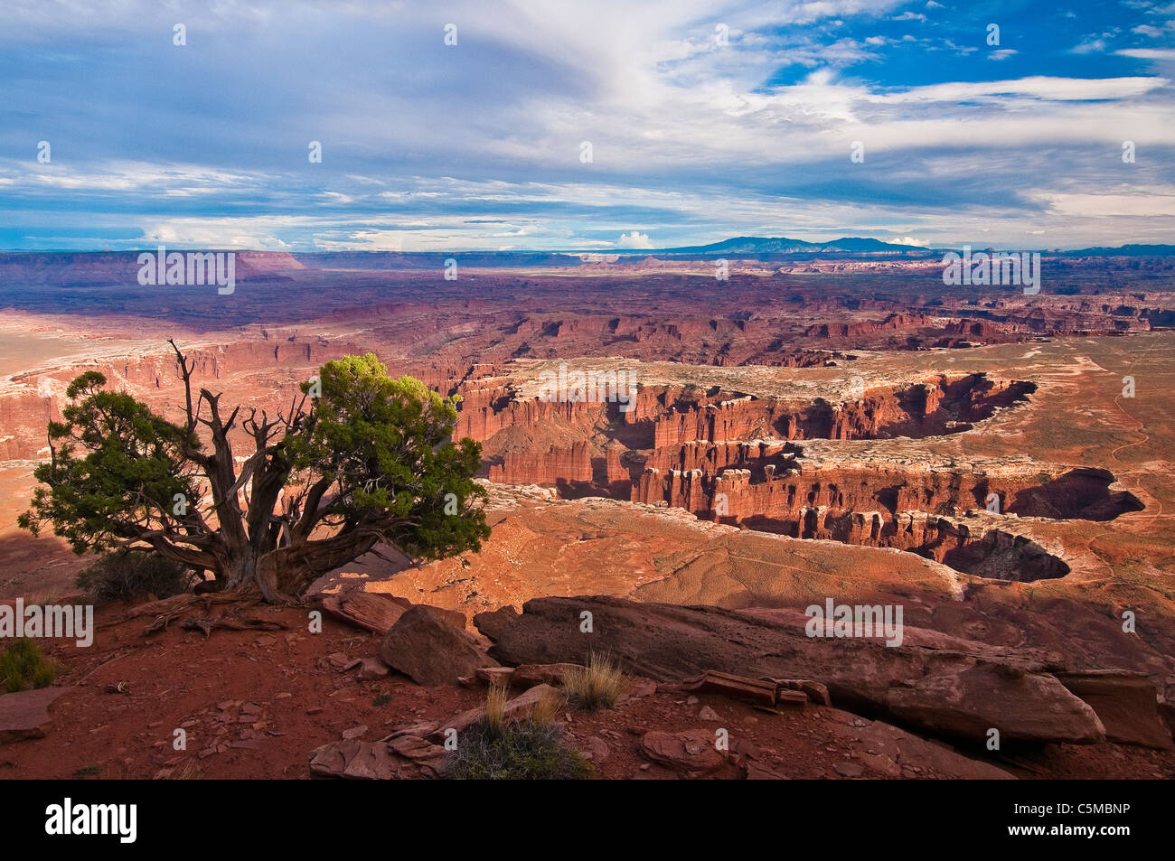 Sunset at Grand View Point Overlook, Canyonlands National Park, Utah ...
