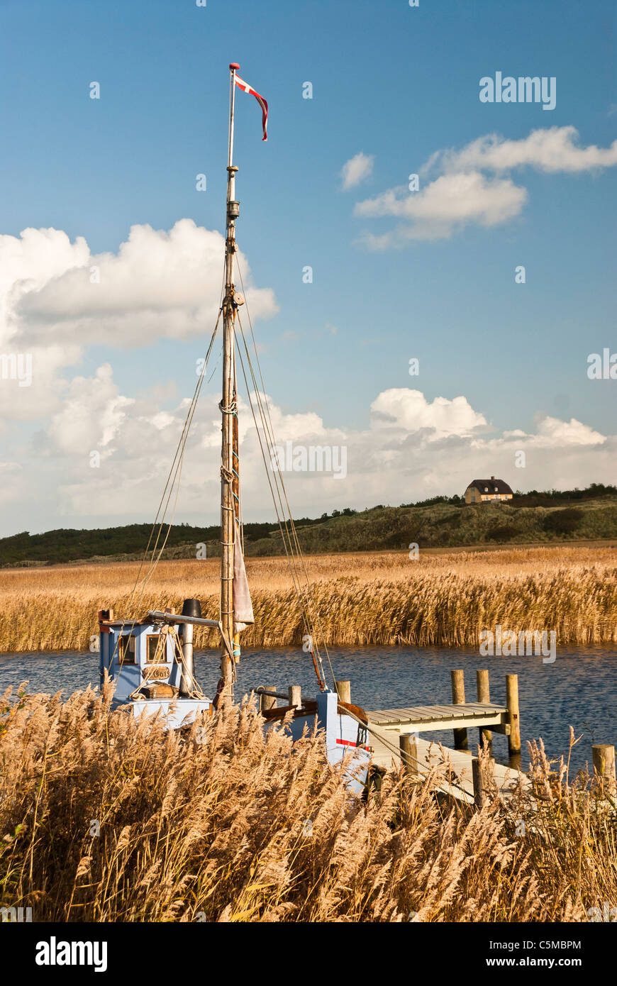 Reed cutter hi-res stock photography and images - Alamy