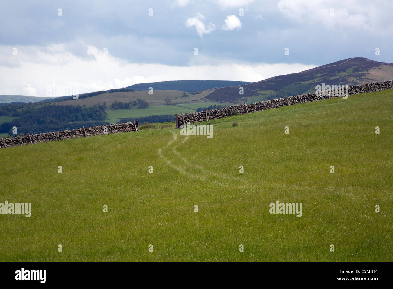 Track across the field hi-res stock photography and images - Alamy