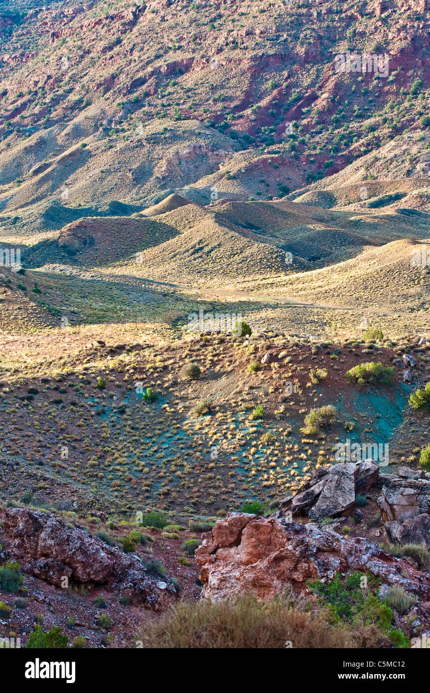 Overgrown grass landscape in Arches National Park, Utah, USA Stock ...