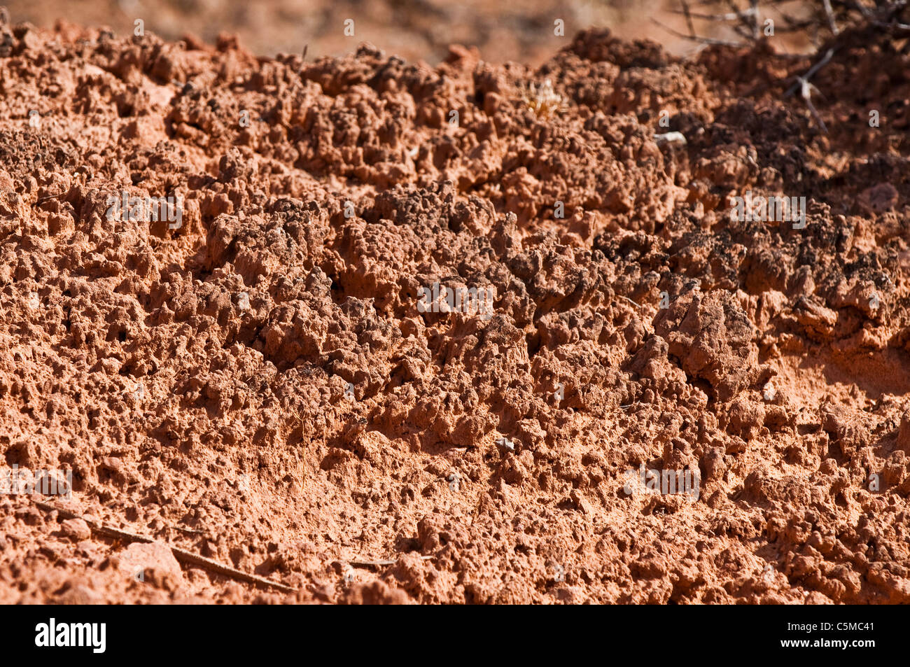 Microbiotic crust hi-res stock photography and images - Alamy
