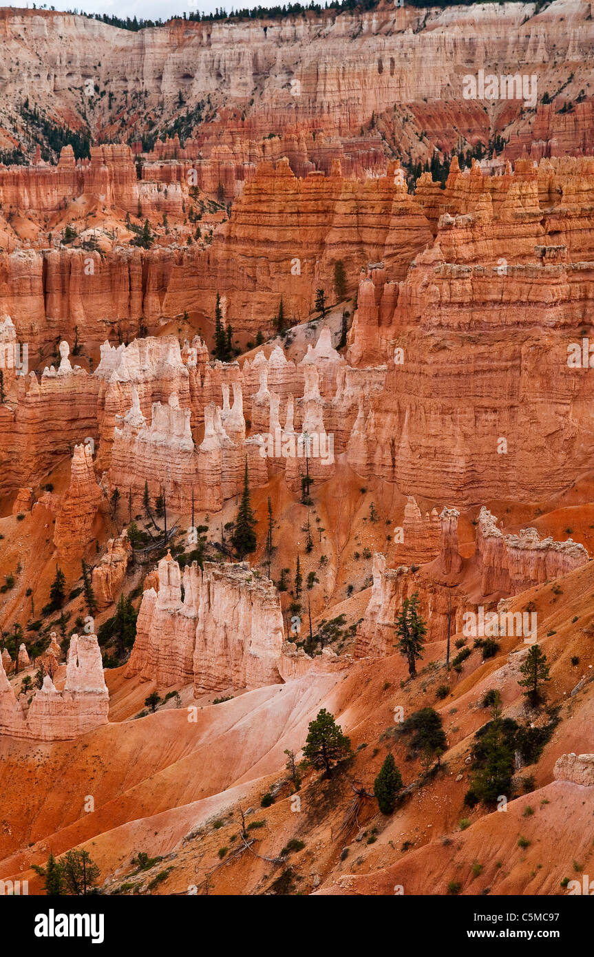 Bryce Canyon National Park, Sunrise Point, Amphitheater, Rock ...