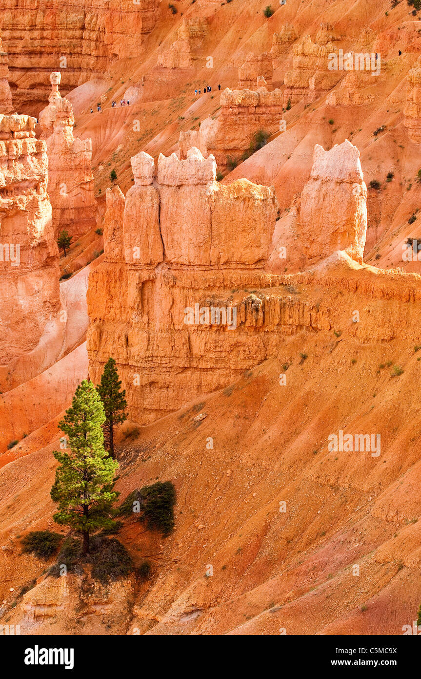 Bryce Canyon National Park, Sunset Point, Amphitheater, Rock formations ...