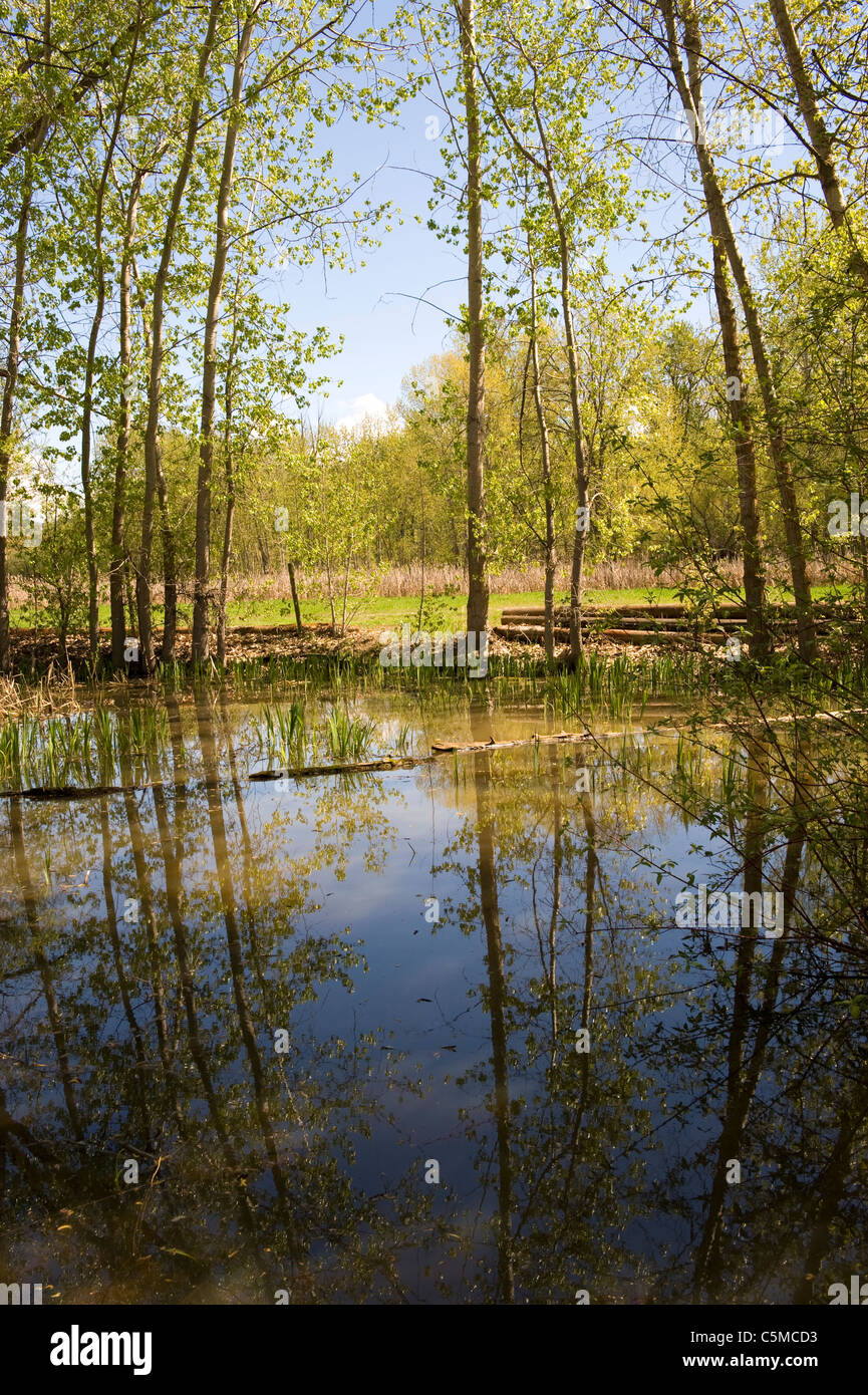 A pond at Father Pandosy Mission in Kelowna, Canada Stock Photo - Alamy