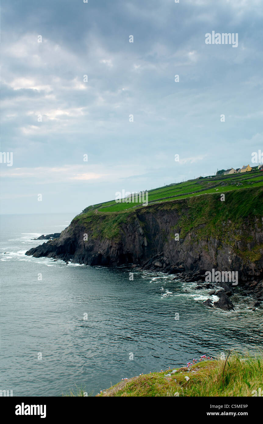 Irish rural scene at Dingle Stock Photo - Alamy