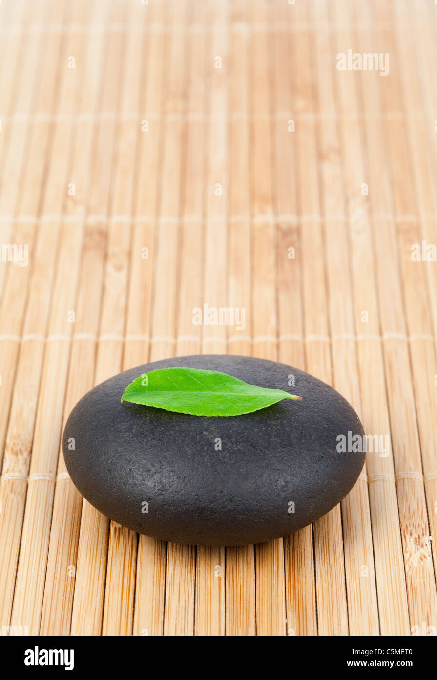 A leaf on a round smooth pebble Stock Photo - Alamy
