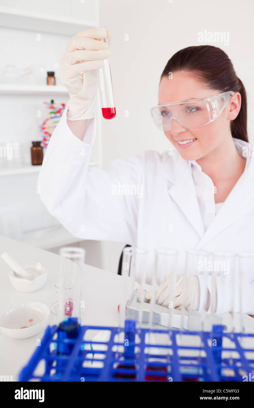 Scientist holding test tube rack hi-res stock photography and images ...