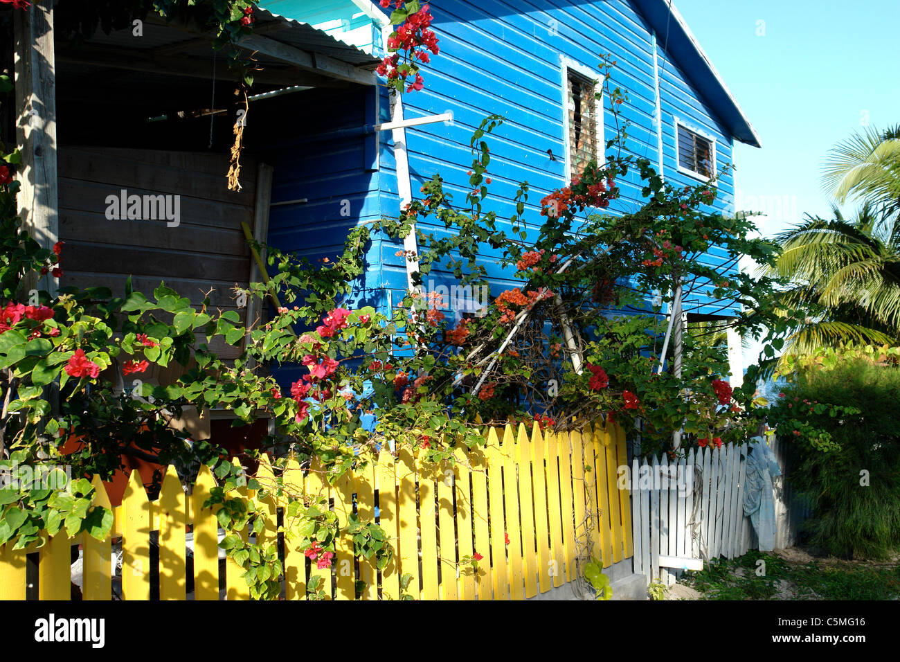 Bright colored houses Stock Photo - Alamy