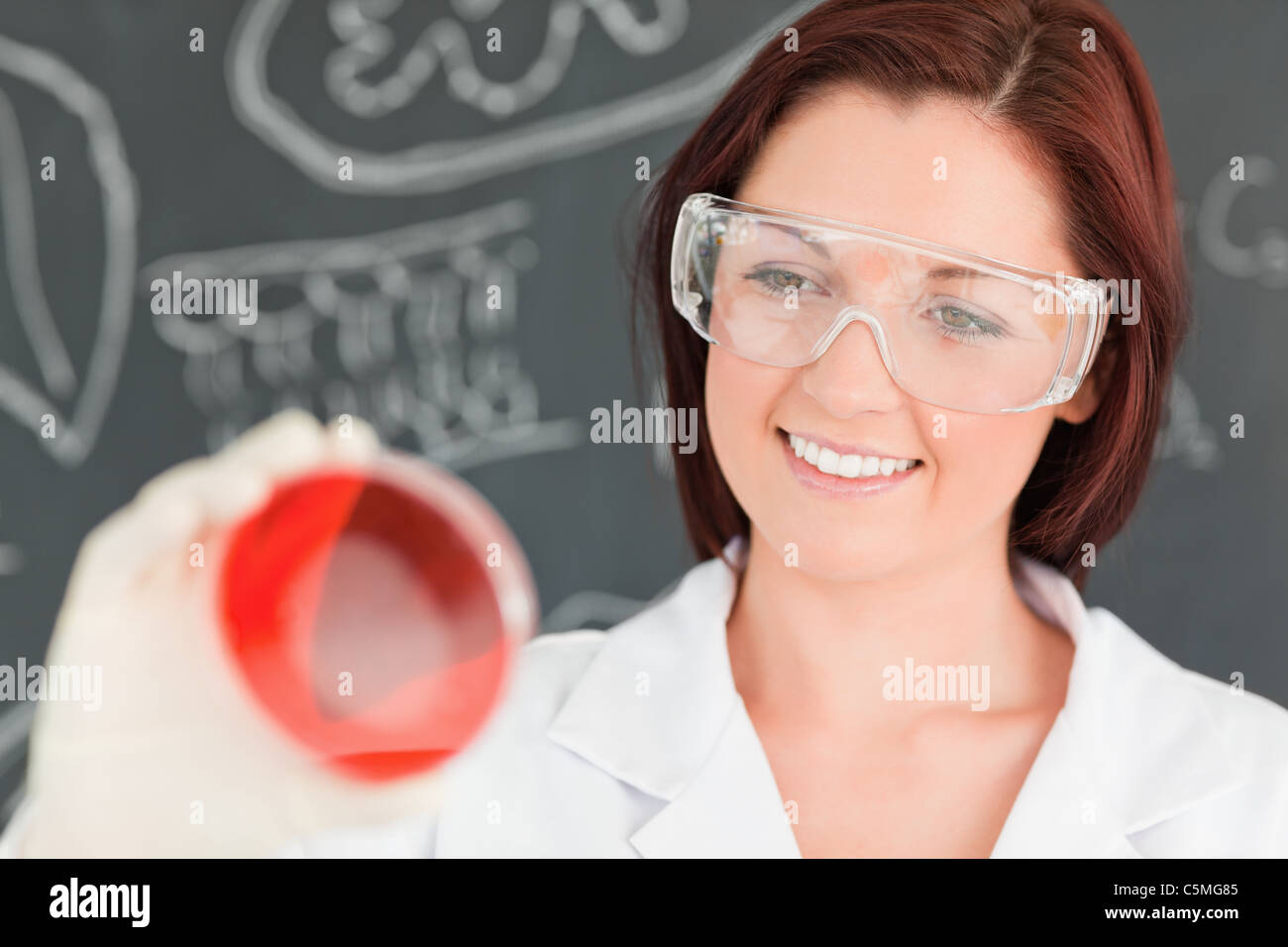 Close up of a red-haired scientist looking at a petri dish Stock Photo ...